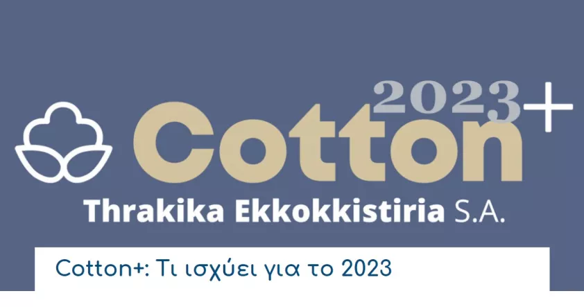 Cotton+: Τι ισχύει για το 2023 | xronos.gr